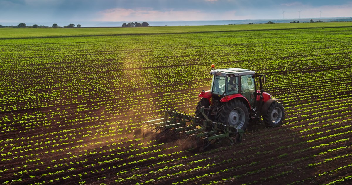 FOOD SOVEREIGNTY // ECR Group in the European Committee of the Regions